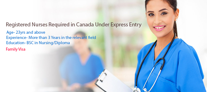 Registered Nurses Required in Canada Under Express Entry - Nursing Jobs